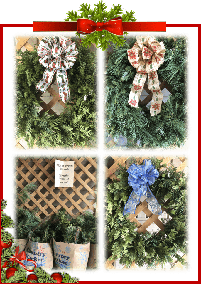 Dahlem – Jackson’s Nature Place