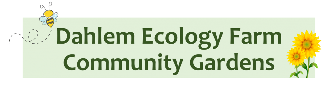 Community Garden | Dahlem