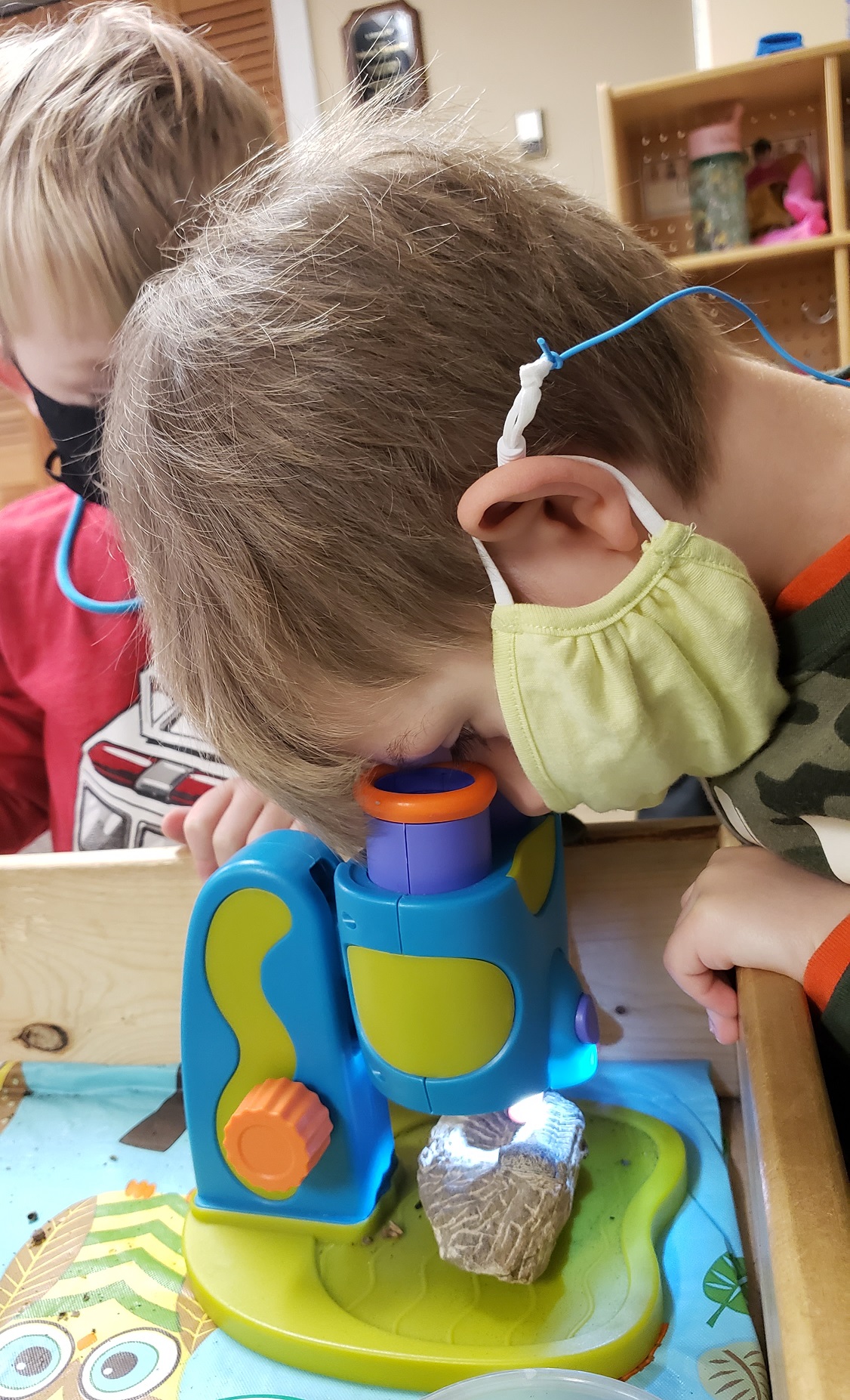 Little Acorns Nature Preschool | Dahlem