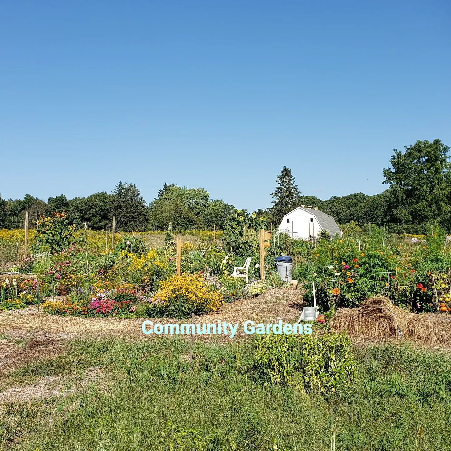 Dahlem Environmental Education | Jackson’s Nature Place