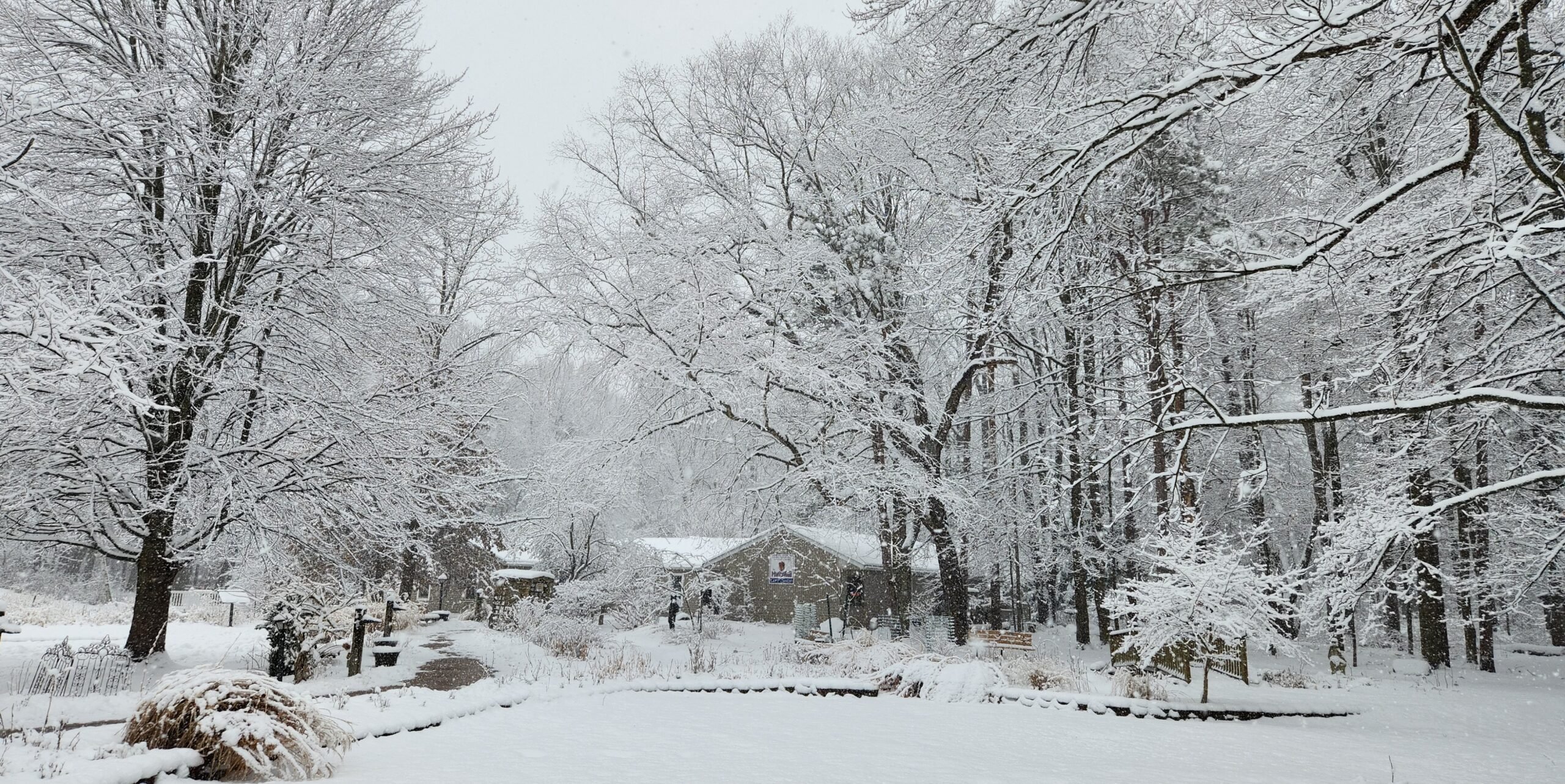 Dahlem Environmental Education | Jackson’s Nature Place